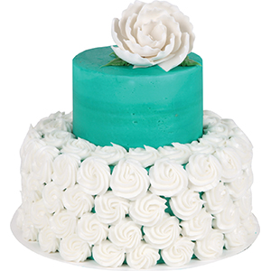 Price Chopper Cakes Prices & Delivery Options | CakesPrice.com